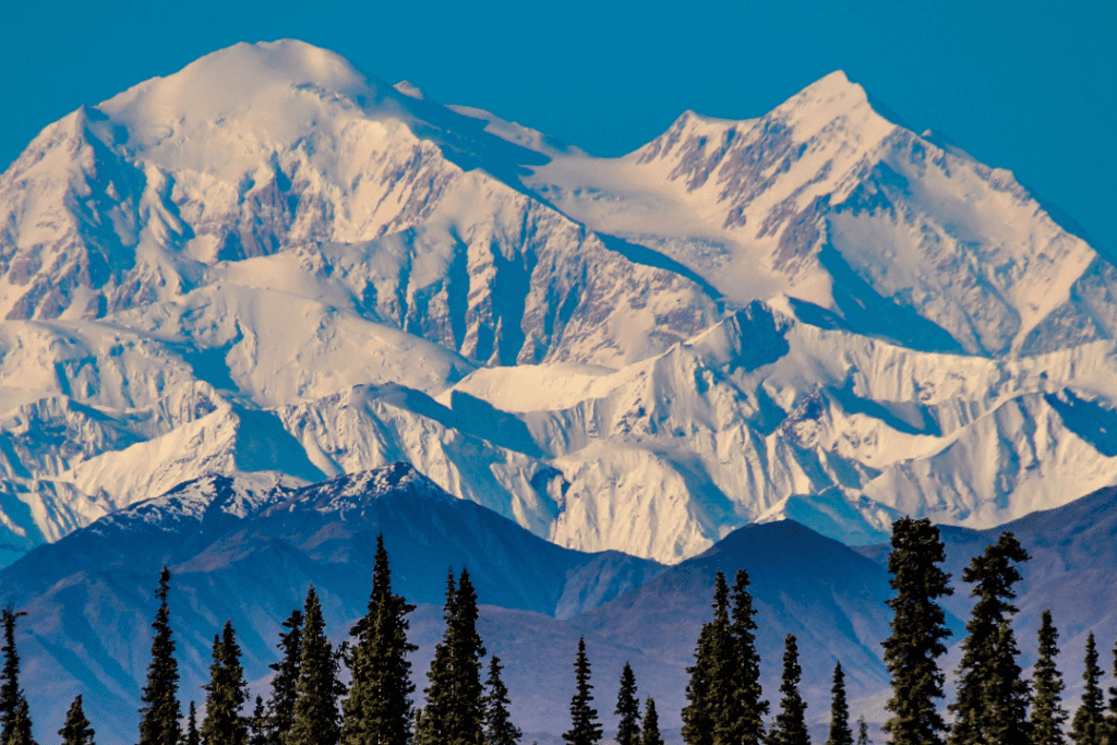 Denali - Highland Vans